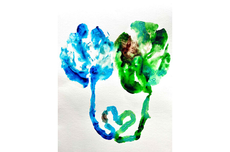 Services & Pricing - Mommy Made Encapsulation