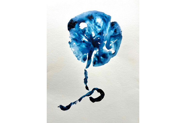 Services & Pricing - Mommy Made Encapsulation