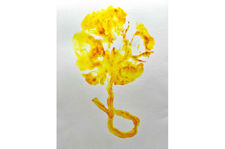 Services & Pricing - Mommy Made Encapsulation