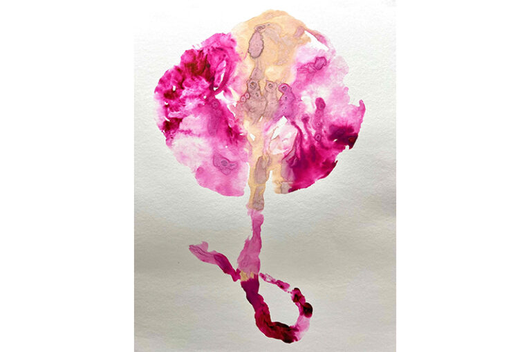 Services & Pricing - Mommy Made Encapsulation