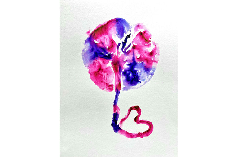 Services & Pricing - Mommy Made Encapsulation