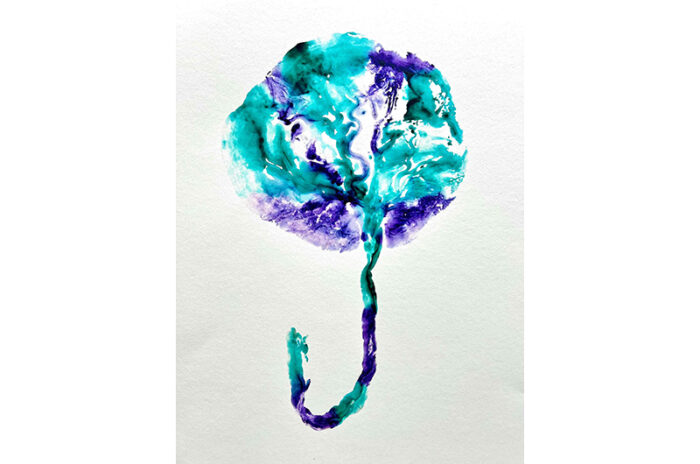 Services & Pricing - Mommy Made Encapsulation