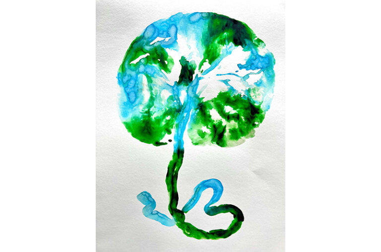 Services & Pricing - Mommy Made Encapsulation