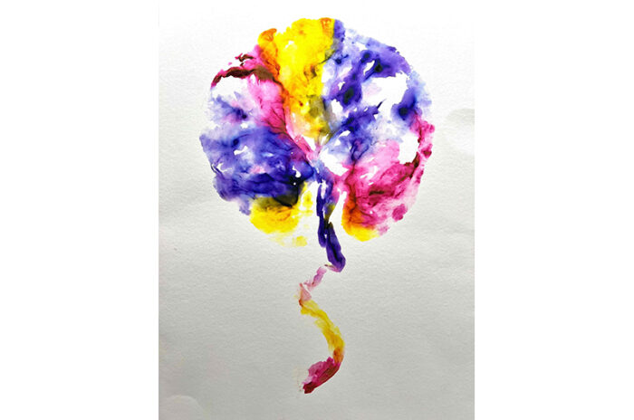 Services & Pricing - Mommy Made Encapsulation