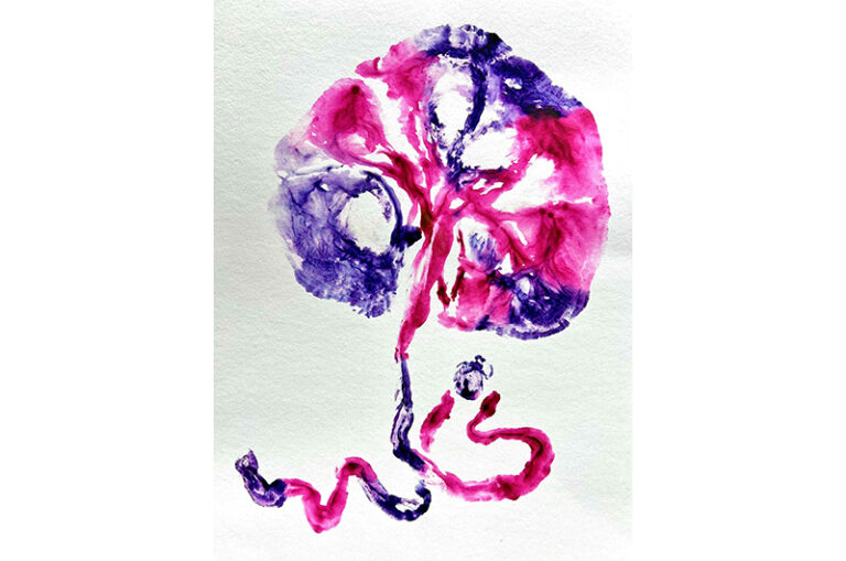 Services & Pricing - Mommy Made Encapsulation